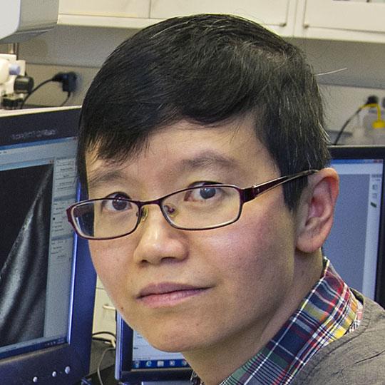 BNL | Condensed Matter Physics & Materials Science | Electron ...