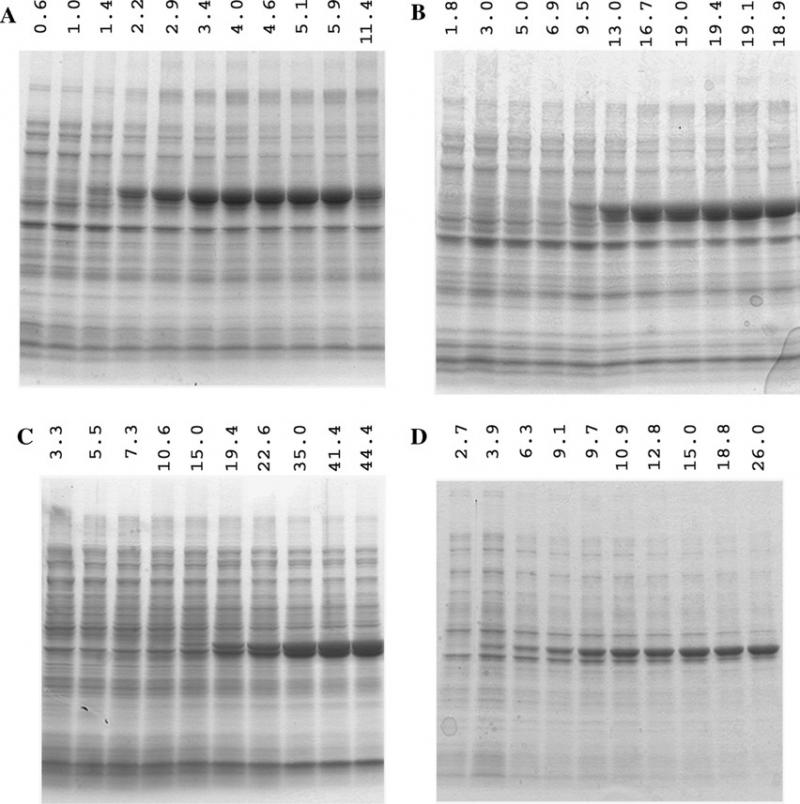 BNL | Research Partnerships and Technology Transfer | Technology: 2002 ...