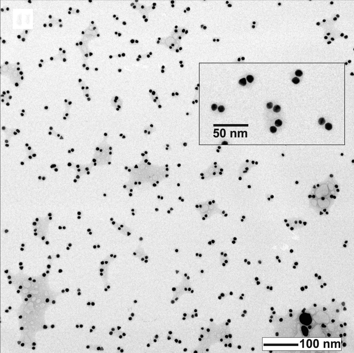 DNA-Based Assembly Line for Precision Nano-Cluster Construction | BNL ...