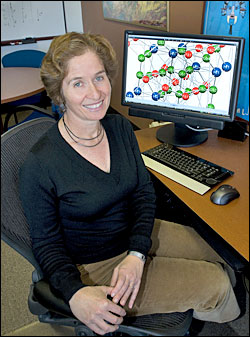 Meigan Aronson Named Department of Defense Security Fellow | BNL Newsroom