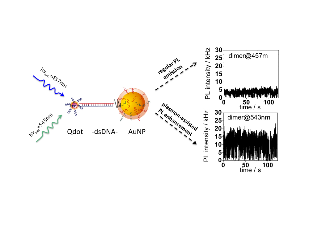 Nanoparticles Increase Intensity Of Quantum Dots Glow BNL Newsroom